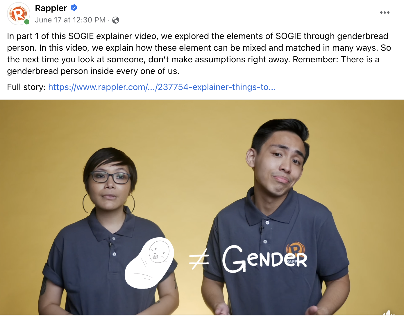 Rappler’s Hilarious Attempt to Promote SOGIE, “GenderBread Person” BS ...